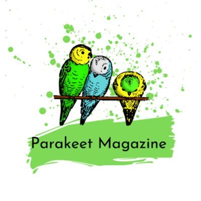 Parakeet Magazine - Chill Subs
