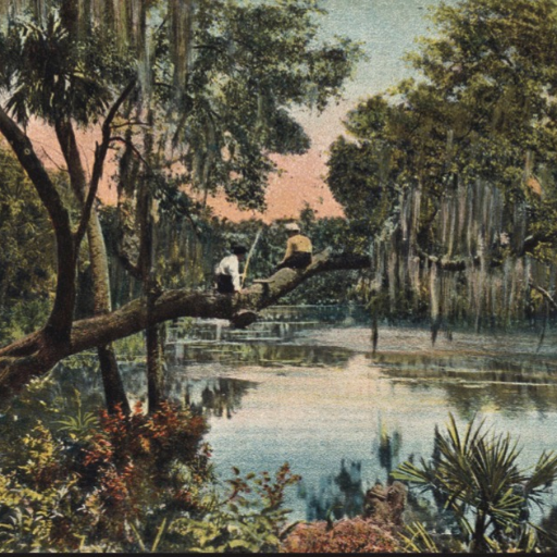 Saw Palm: Florida Literature & Art - Chill Subs