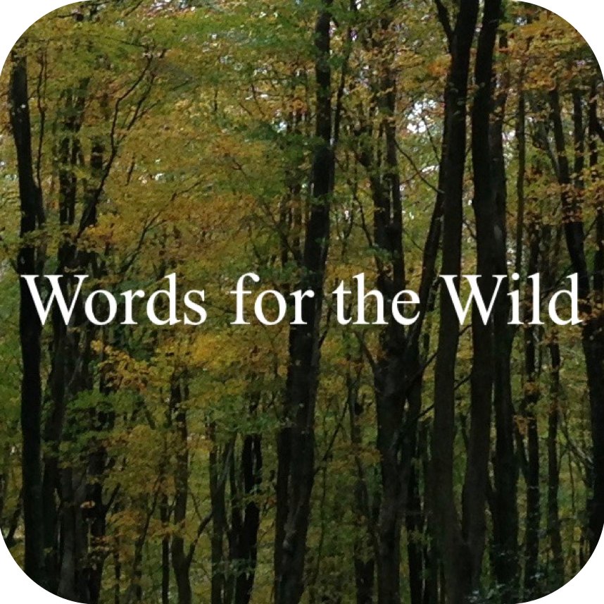 Words for the Wild - Chill Subs